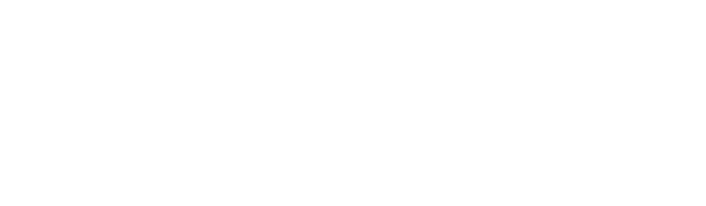 Westwind Karriere