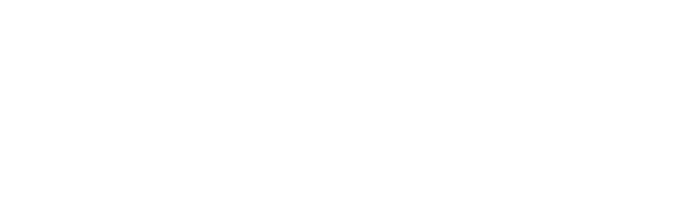 Westwind Karriere